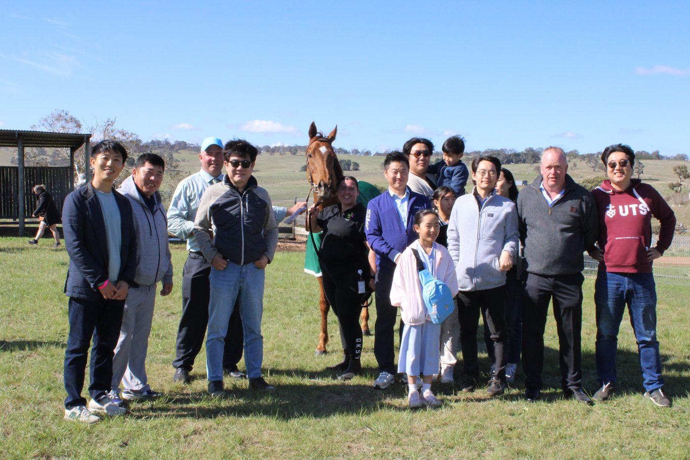 Favourite Look Only runs solid race in 2024 Bombala Cup