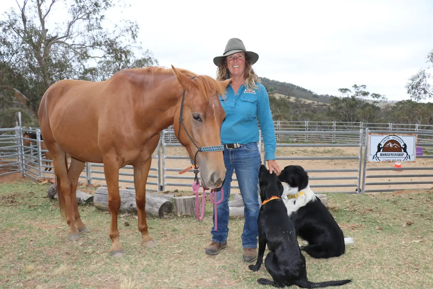 Stall to promote positive brumby outcomes