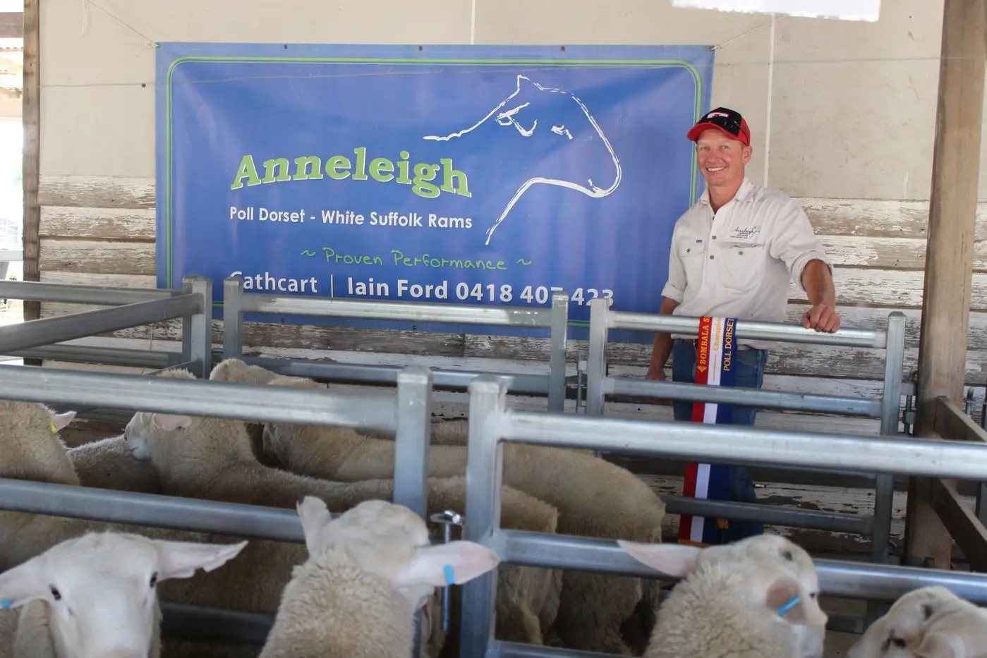 District’s best sheep on show