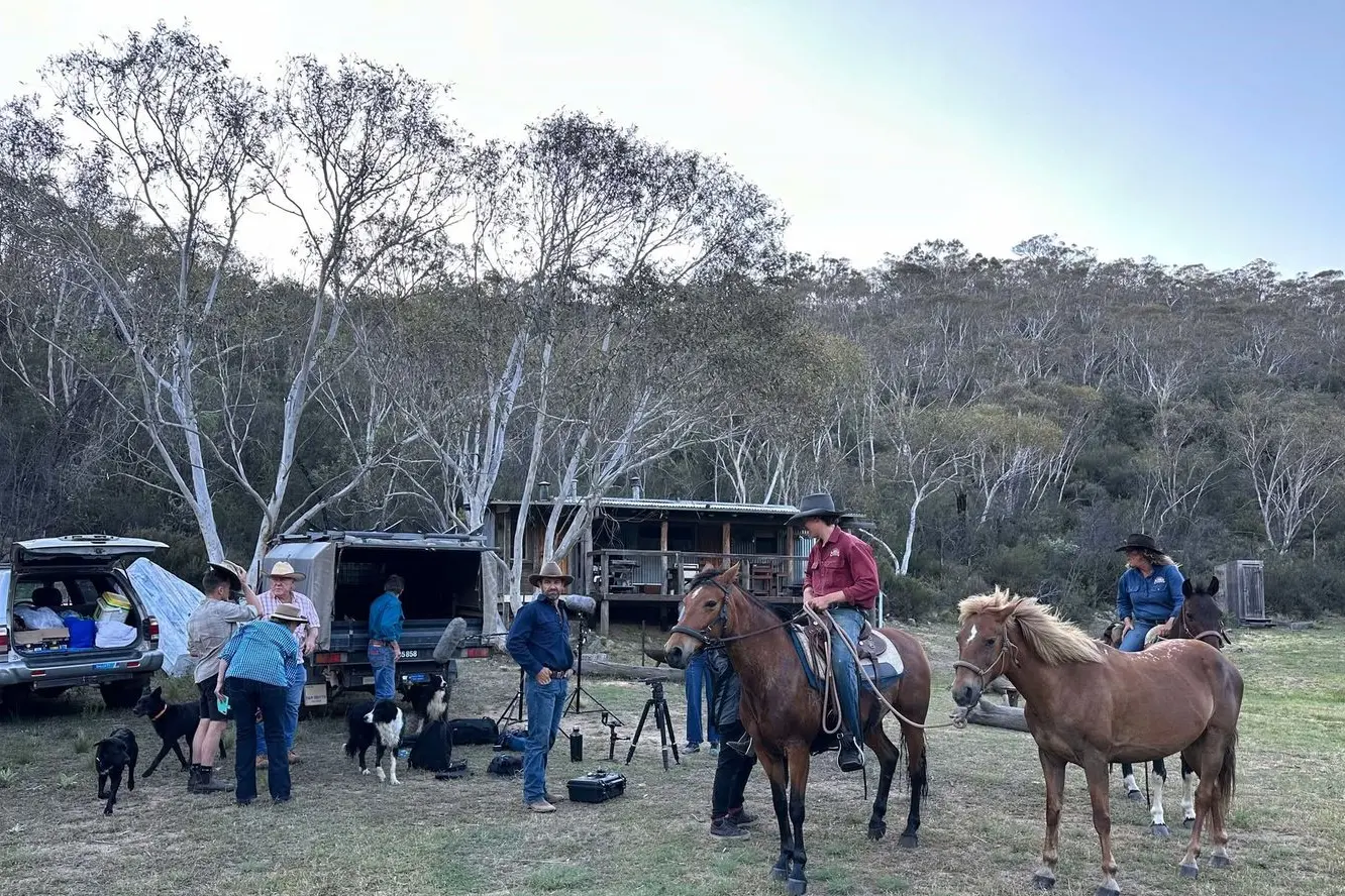 Snowy River Brumbies to star on ABC Back Roads
