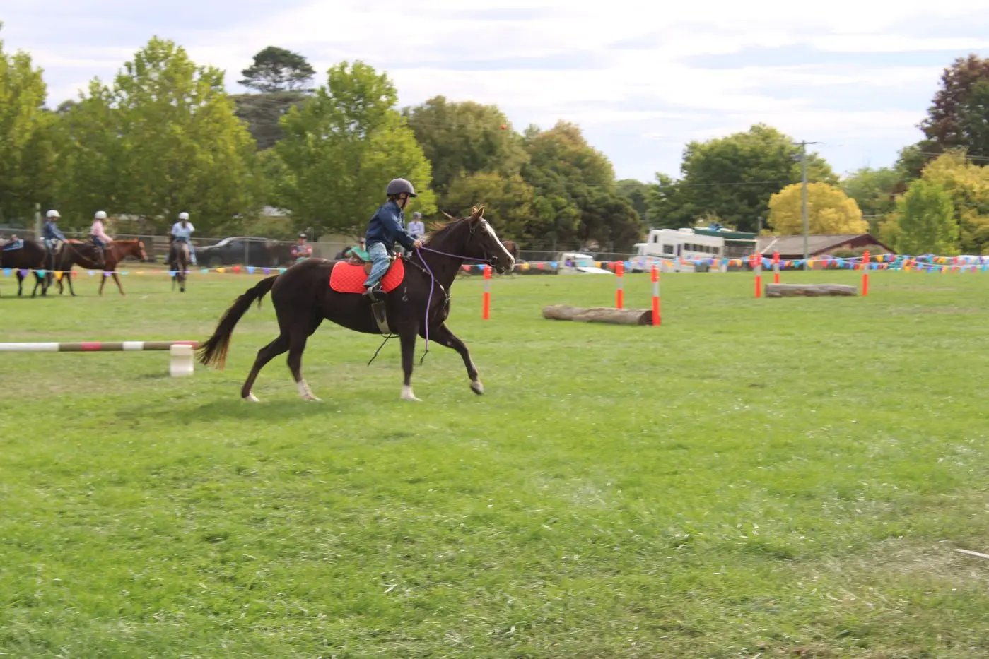 Celebrating 150 years of Bombala Shows