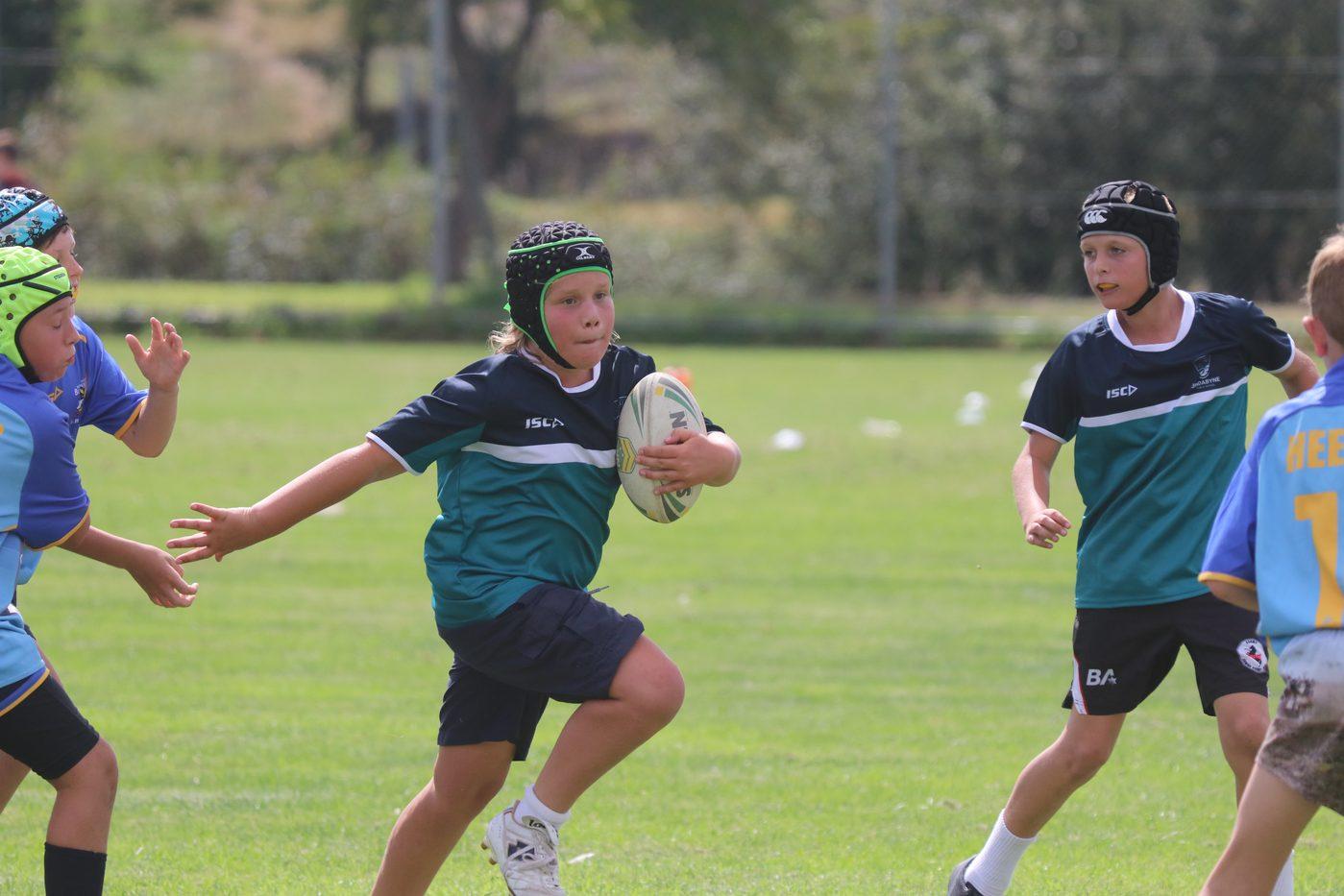 Record number for Harry Nichols Shield