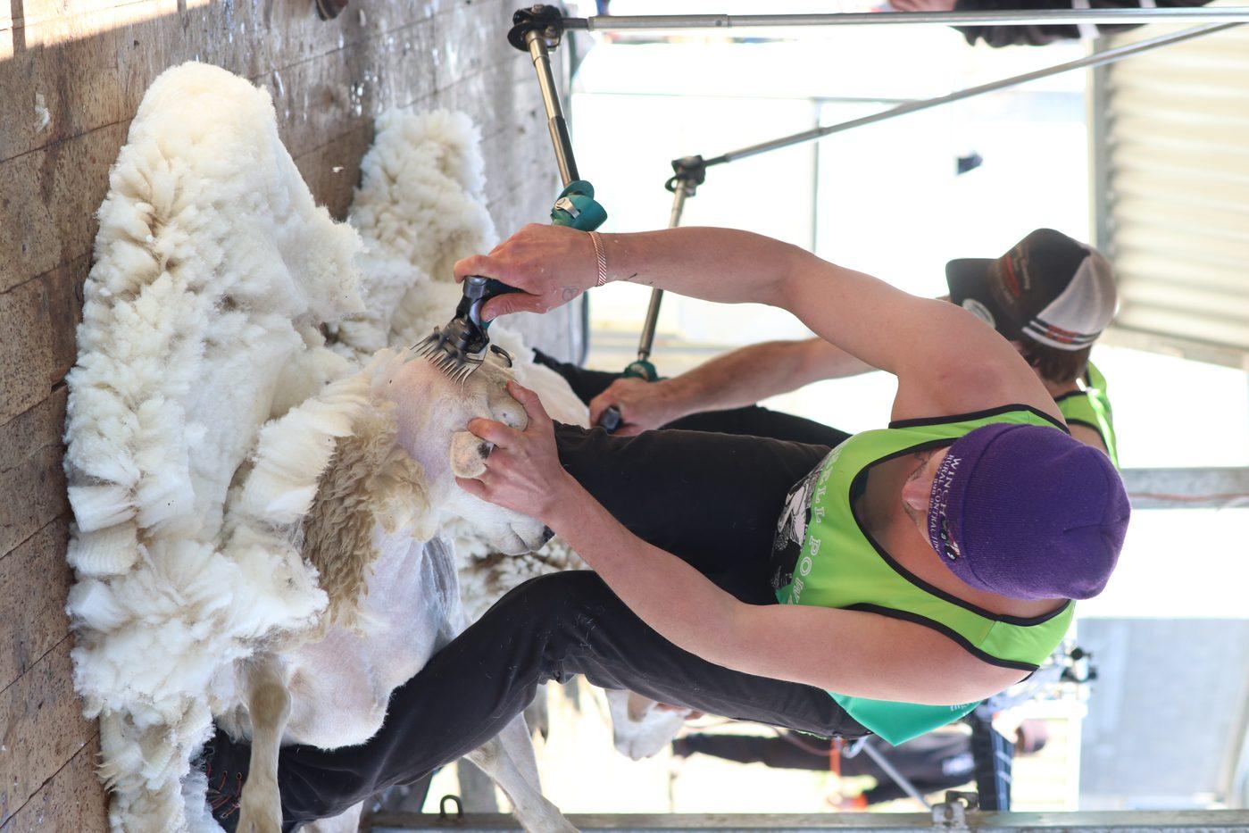 Quick shear event honours Bombala's Mitchell