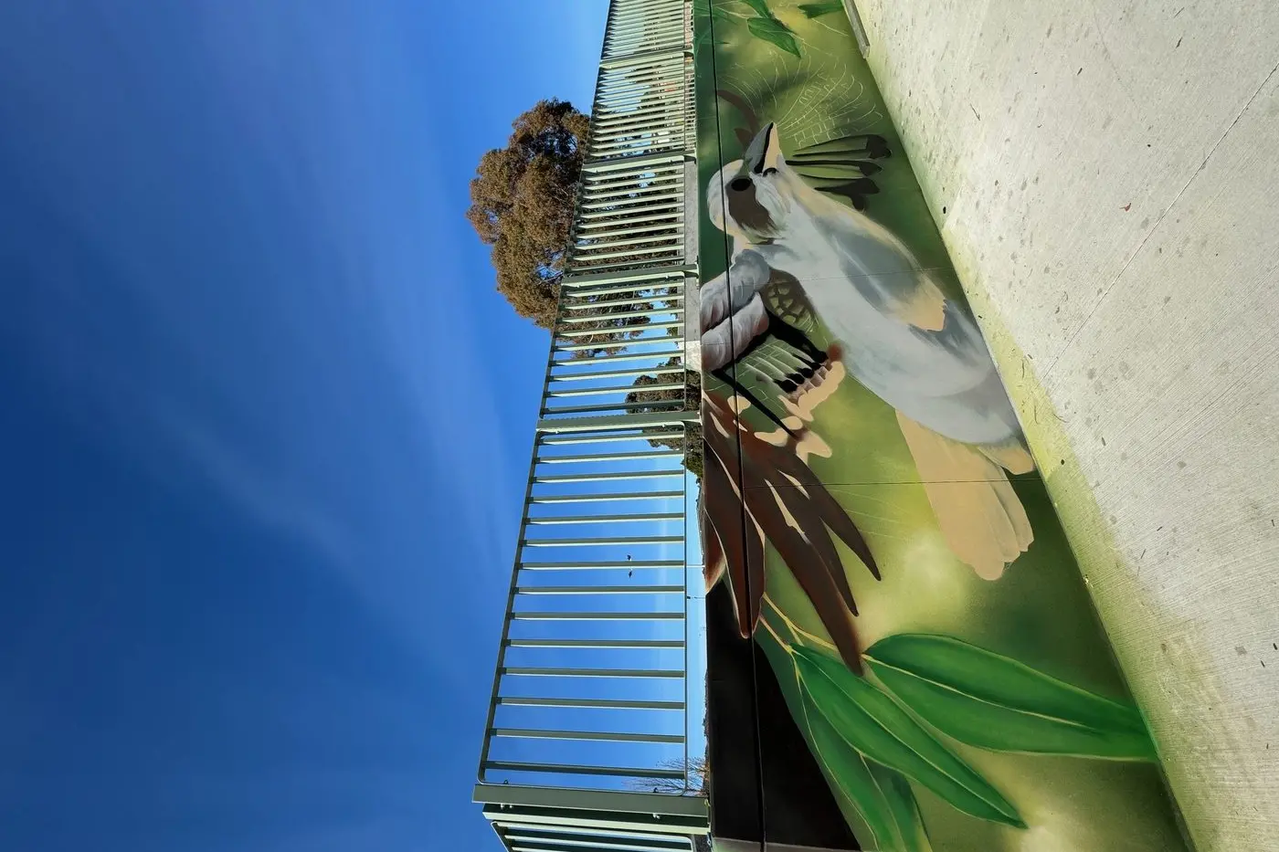 Finishing touches to popular skate park