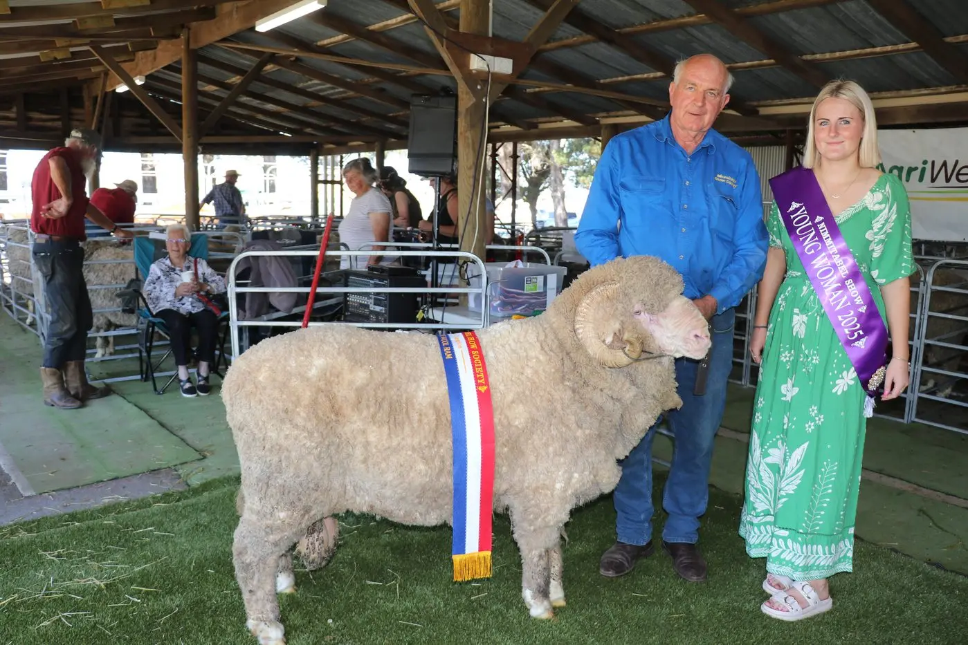 Magnificent sheep exhibited in Nimmitabel Show's Merino stud section
