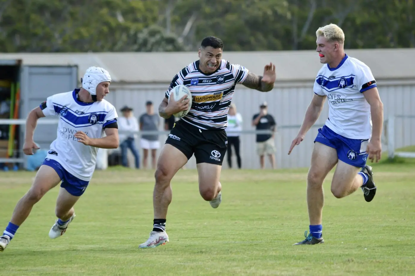 Solid start for Stallions