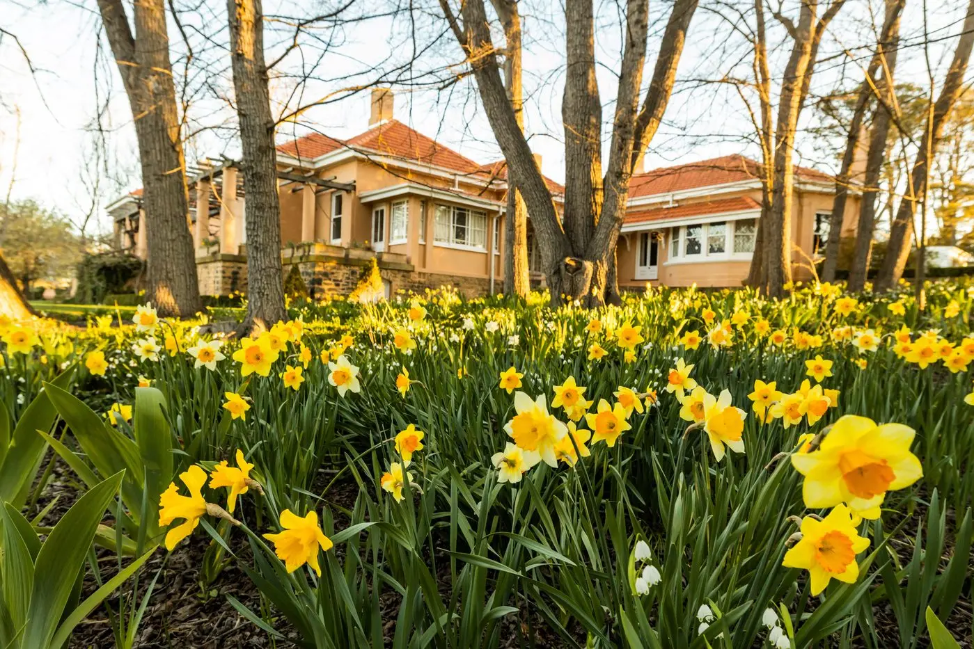 Hazeldean gardens stand test of time