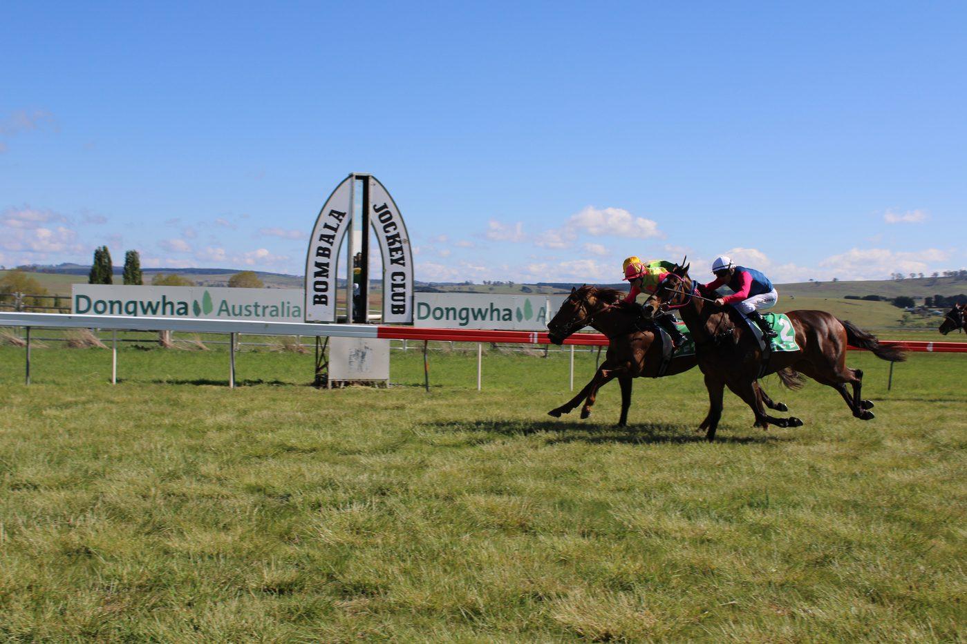 Favourite Look Only takes Bombala Cup double