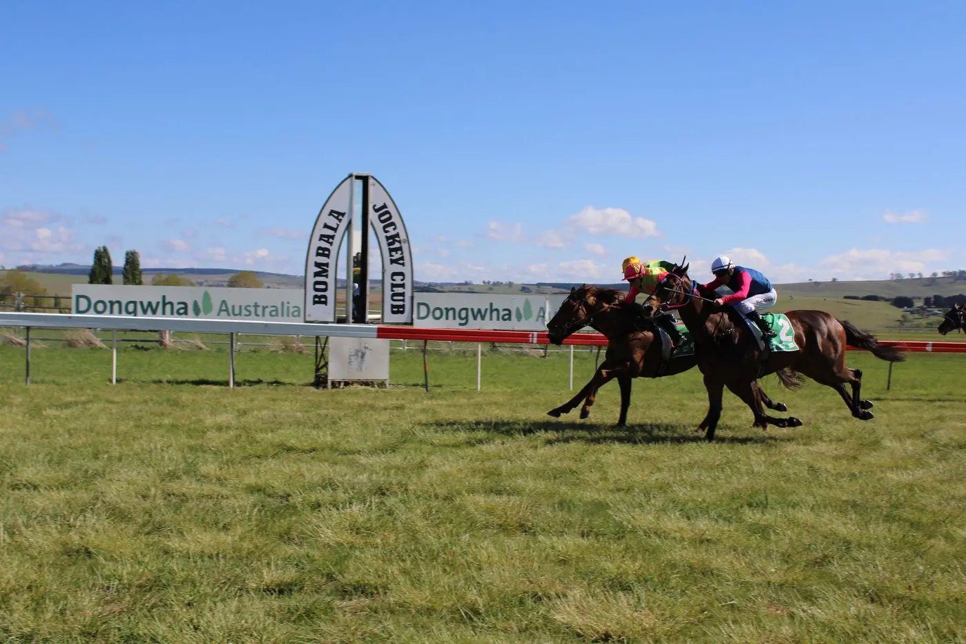 Favourite Look Only takes Bombala Cup double