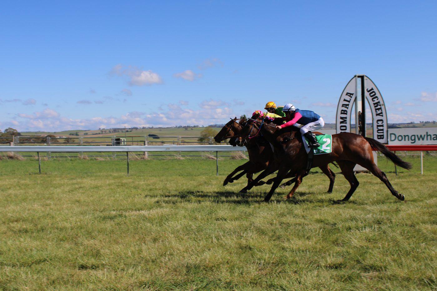 Recapping last year's Bombala Races